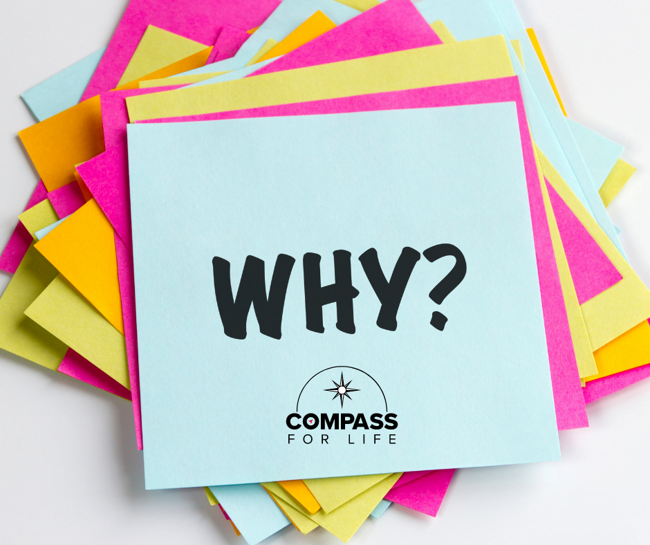 How To Train For A Marathon Top 5 Tips Compass For Life